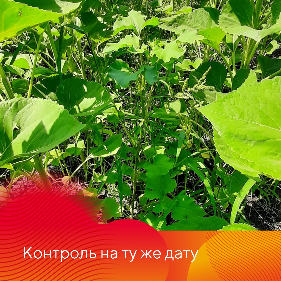 Одиссей, опыт применения