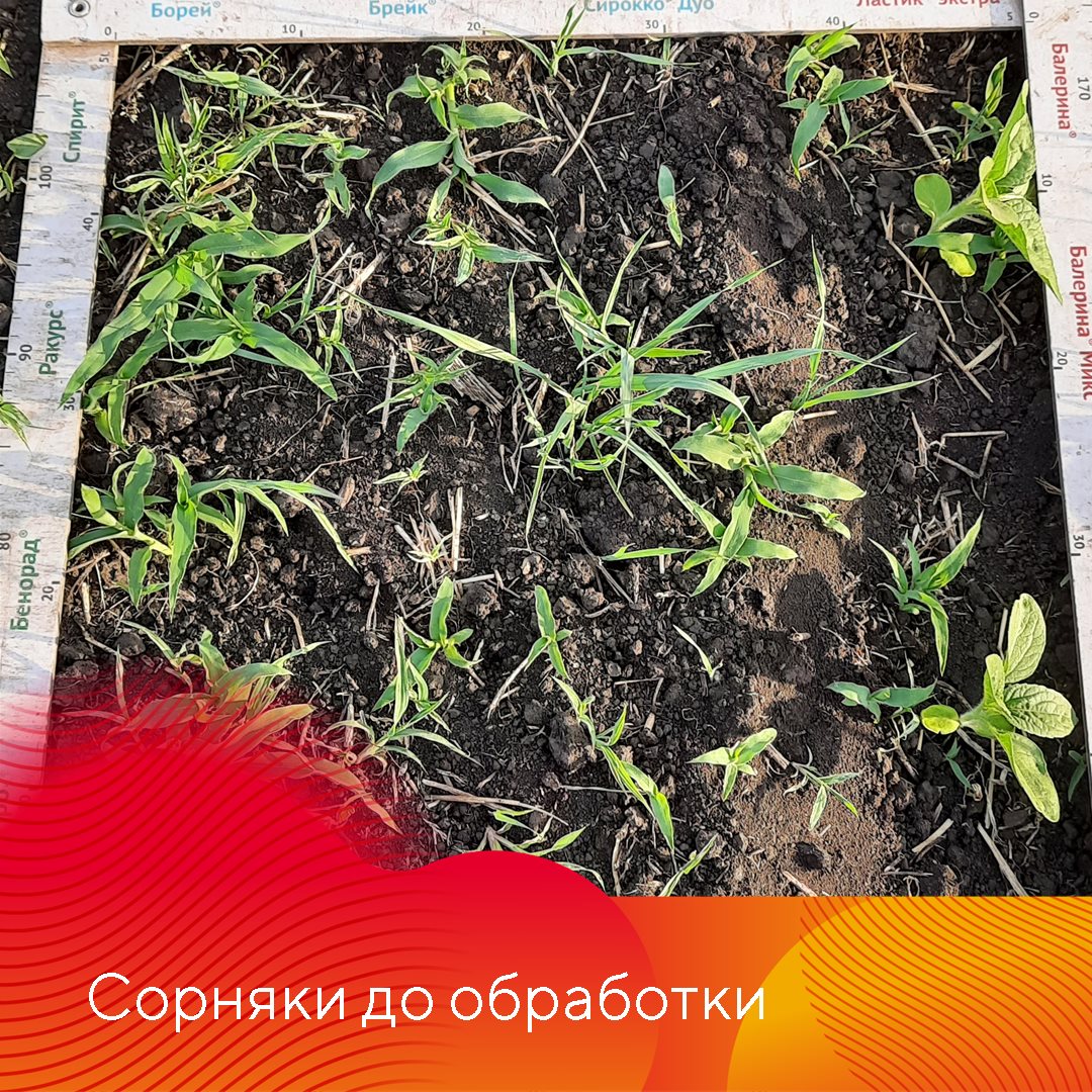 Одиссей, опыт применения